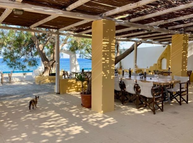 Gaia Wines in Santorini - Winery Review with Photos & Map