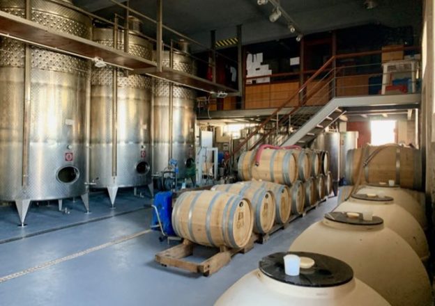 Gaia Wines in Santorini - Winery Review with Photos & Map