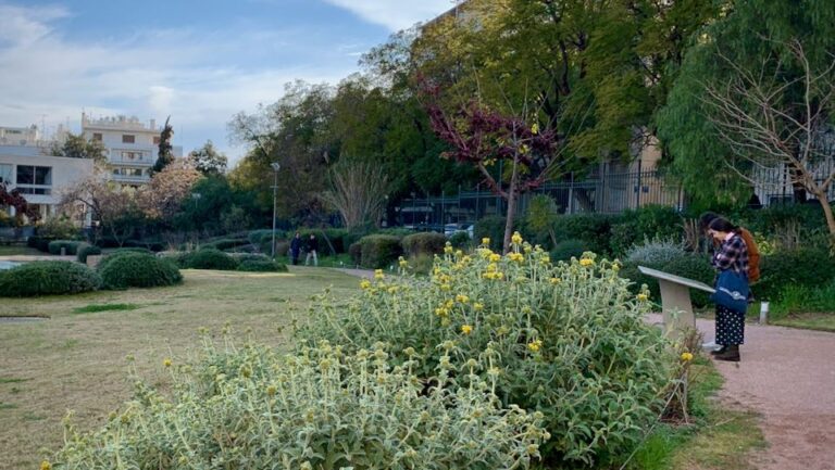 Aristotle’s Lyceum in Athens: Tickets, Hours, Map, Photos