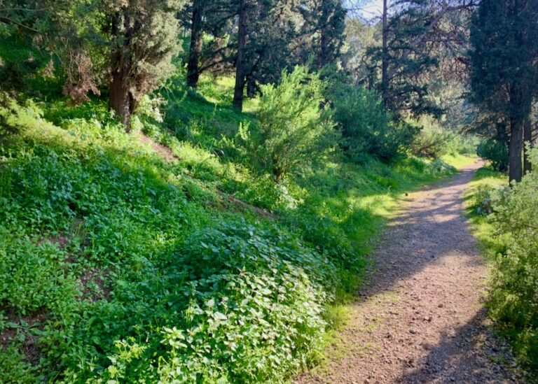Mount Lycabettus in Athens, Greece – Visitor’s Guide