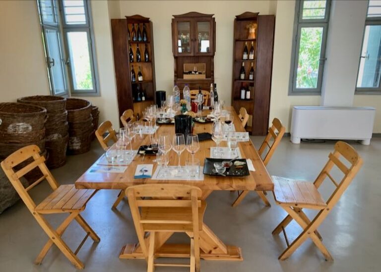 13 Best Santorini Wine Tours & Wineries (2026)